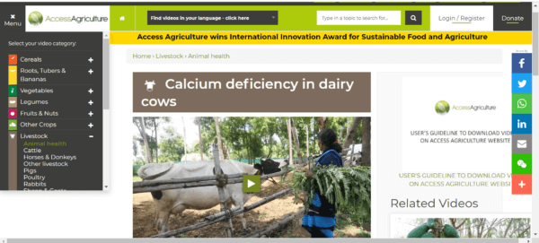 New video on Calcium Deficiency in Dairy Cows – Natural Livestock ...