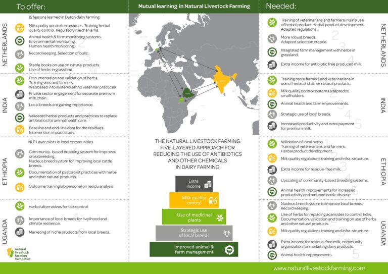 NLF Needs and brings between partners – Natural Livestock Farming ...